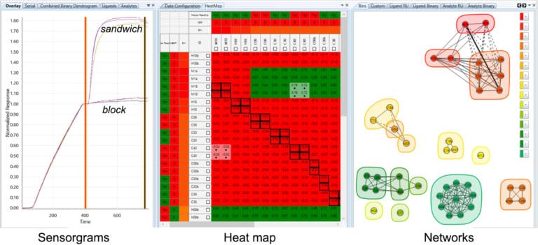 Epitope Binning - Antibody Epitope Data Analysis Software Epitope Binning - Antibody Epitope Data Analysis Software