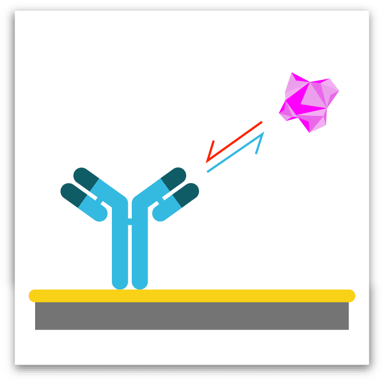 High Throughput Kinetic Analysis and SPR Software