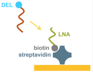 DNA Encoded Library (DEL) Compounds - Carterra